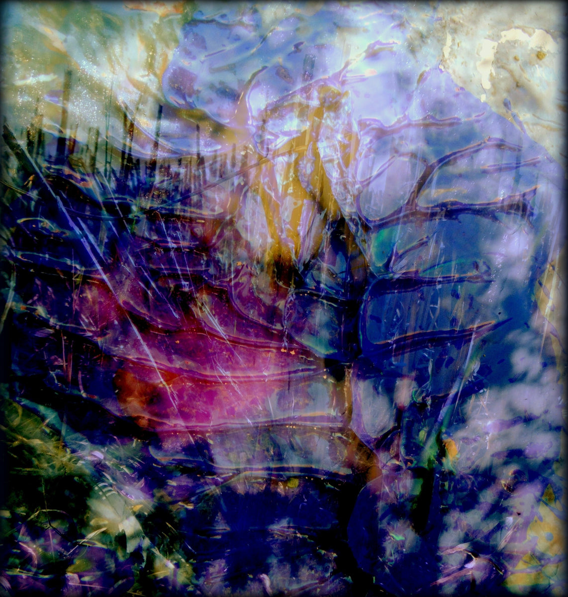 Violette – Jennifer Peters Gallery